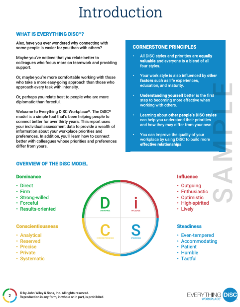 DiSC® Behavioral Styles | DiscProfiles4u